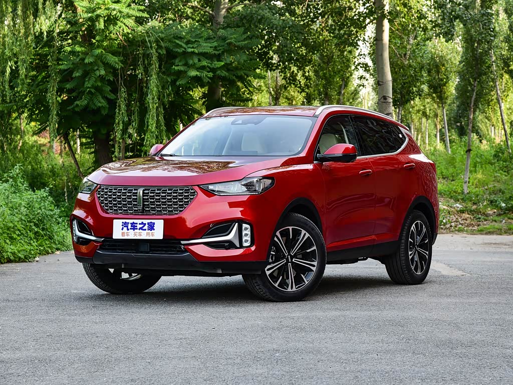 【图解图片_株洲天元WEY魏牌 VV6图片】-汽车之家