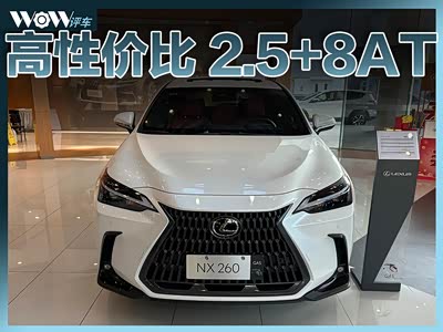 【文章】2.5自吸+8AT，NX260 可能是最划算的雷克萨斯_车家号_汽车之家
