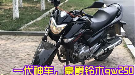 【豪爵铃木 骊驰 GW250 豪爵铃木_豪爵铃木 骊驰 GW250_汽车之家】