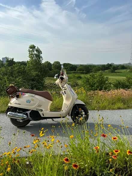 【大阳 VRF150 大阳_大阳 VRF150_汽车之家】